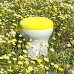 Sentou - Editeur de design depuis 1947